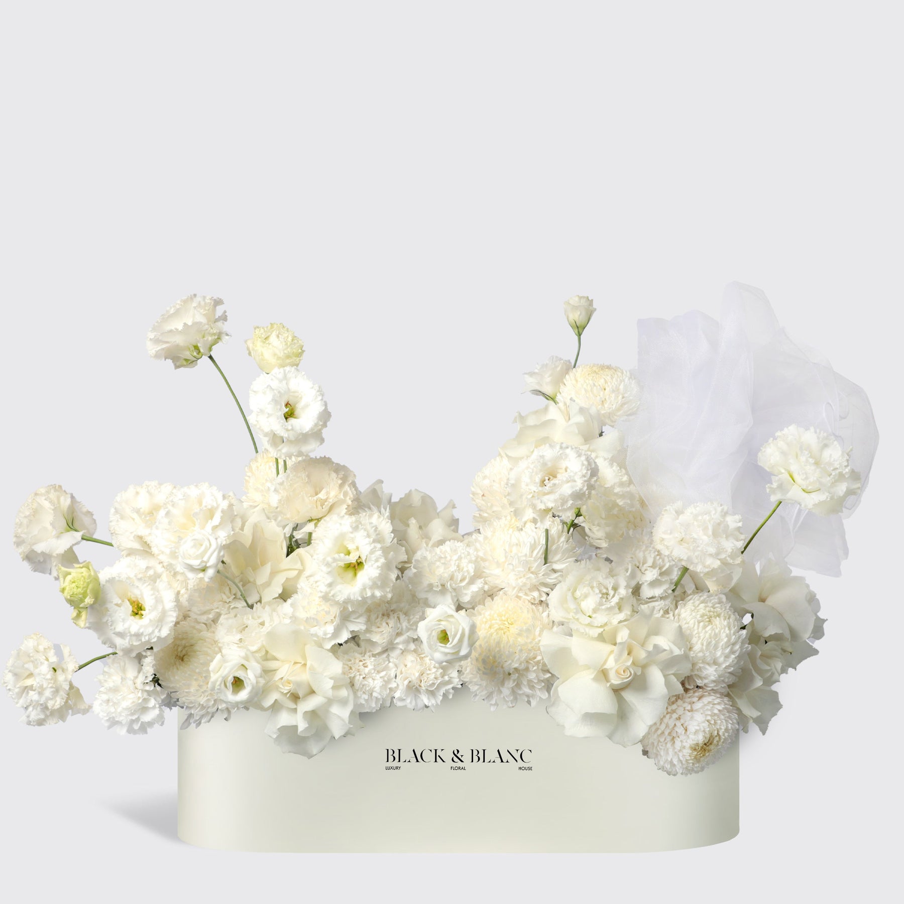 Cloud in Half Meter Box